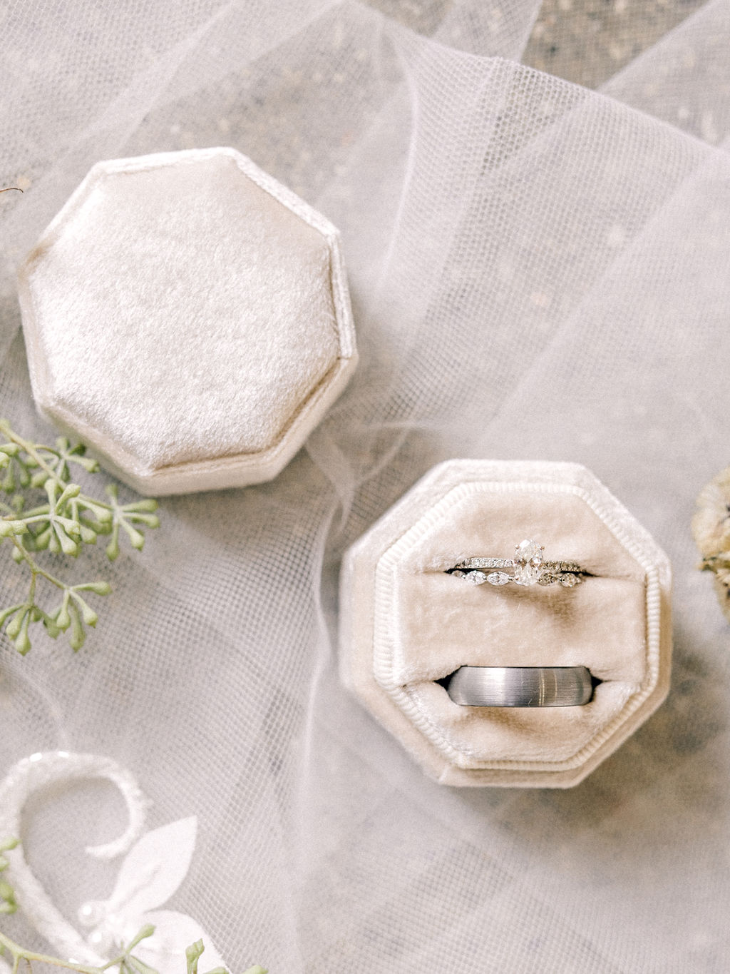 Home - Holly Clark Photography